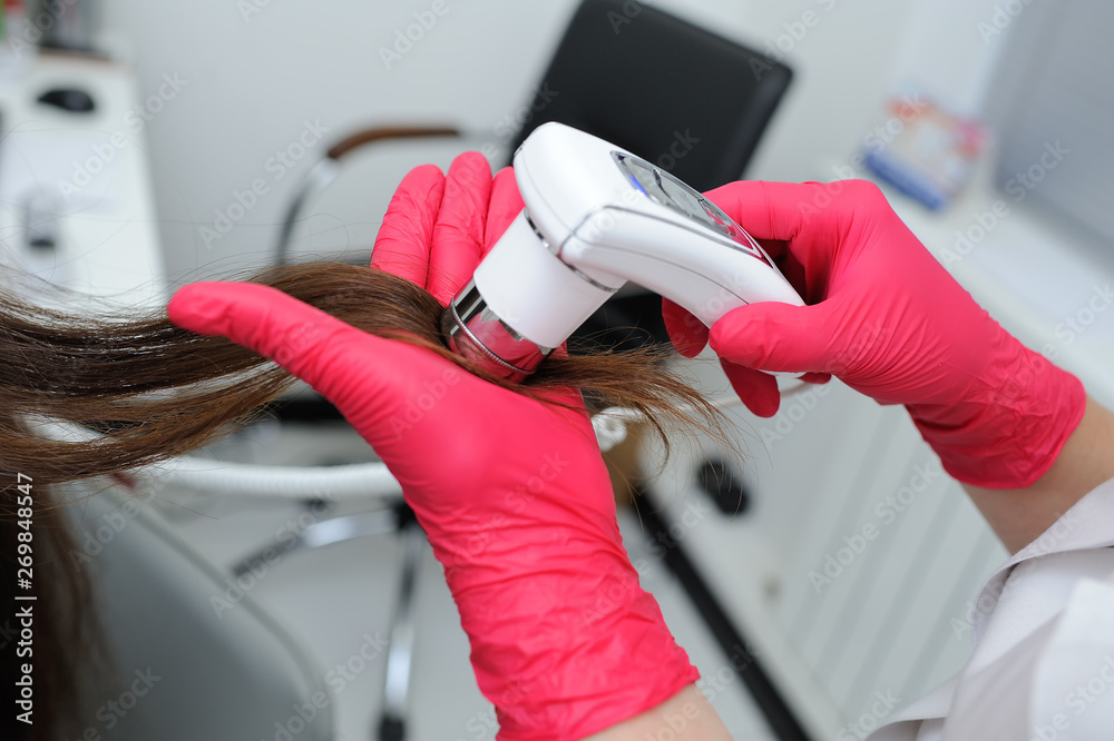 doctor dermatologist diagnoses the structure of the hair of a young ...