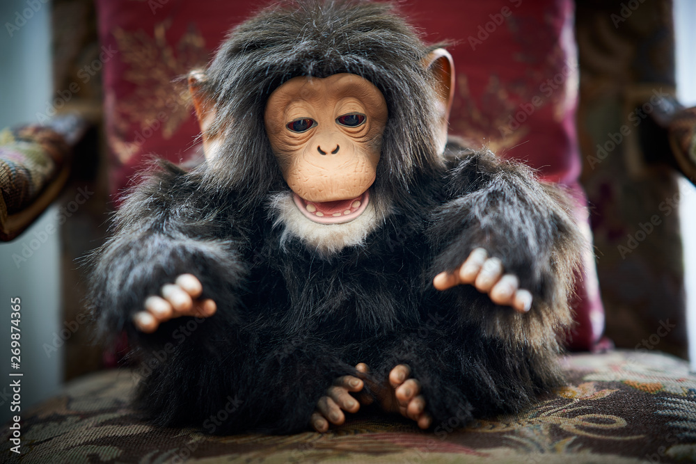 Cute monkey hairy retro toy Stock Photo | Adobe Stock