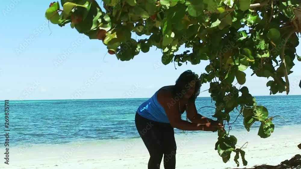 The Original Bahama Mama By The Sea Grape Tree Picking Grape, Old ...