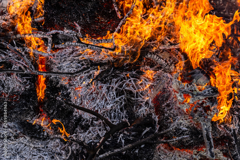 Flaming fire. Burning tree branches. Pagan rite dedicated to the ...
