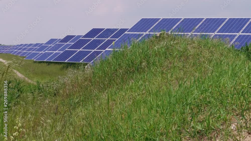 Solar park with cell panels generating green energy on grass at windy ...