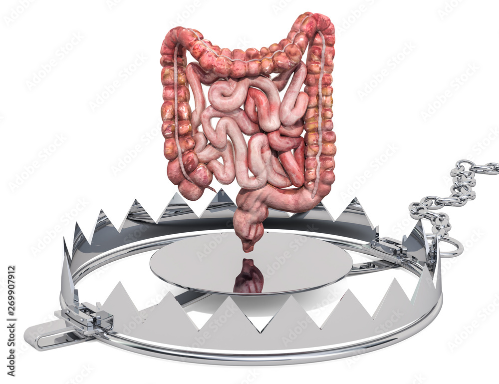 Abdominal pain concept. Human intestines inside bear trap. 3D rendering ...