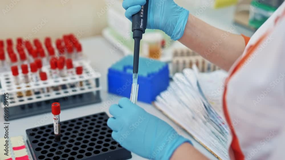 Hands of professional laboratory technicians working with many vials of ...