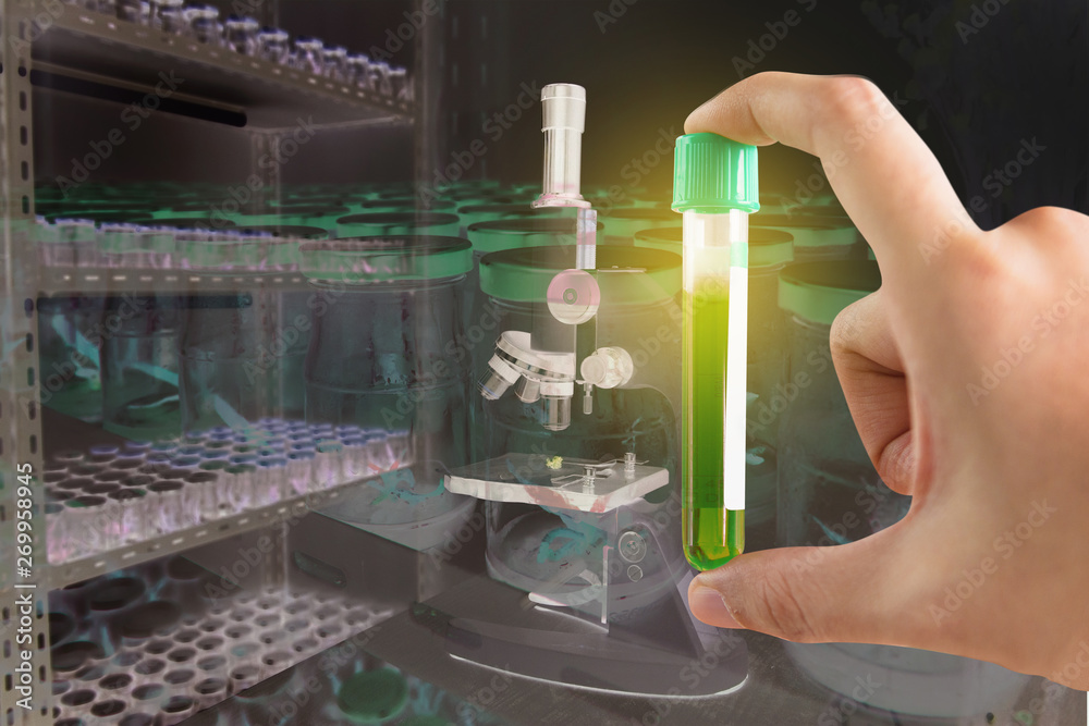 Double exporse of image of research herbal medicine at lab , test ...