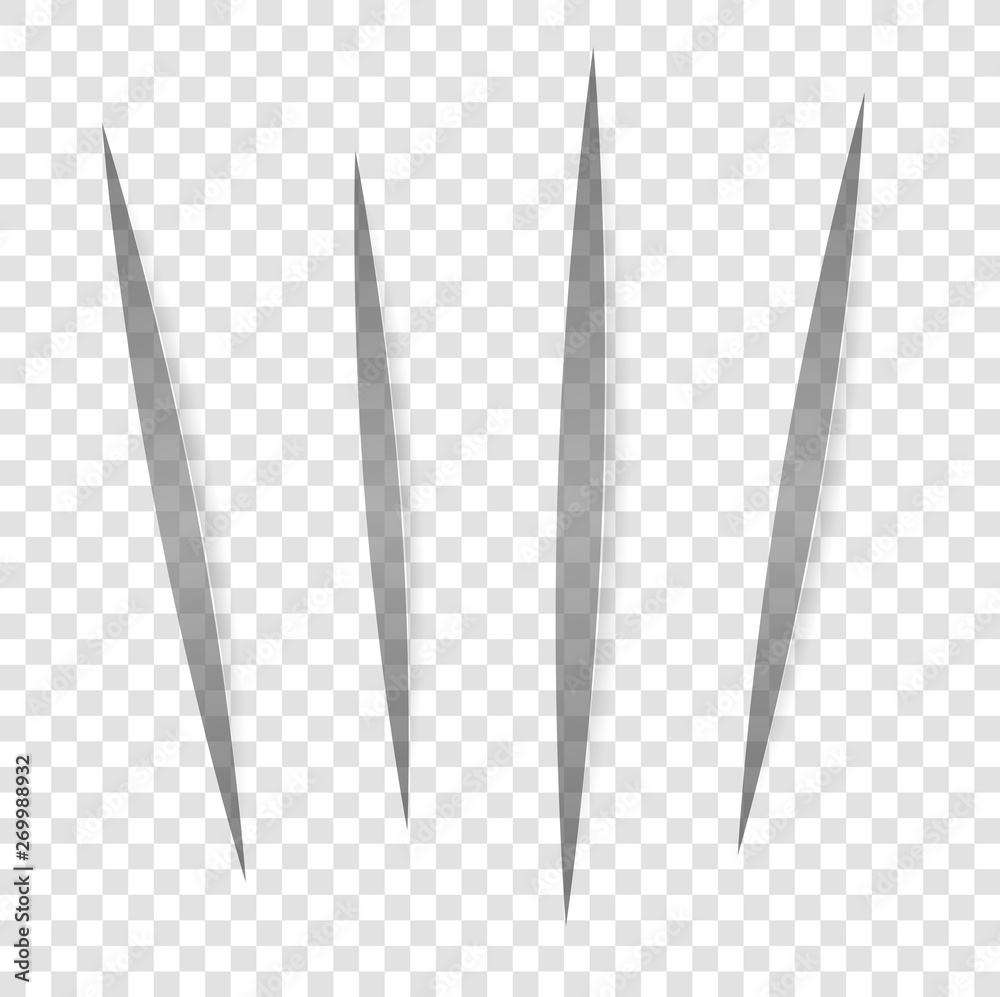 Vector realistic Cuts in paper sheet with a shadow on transparent ...