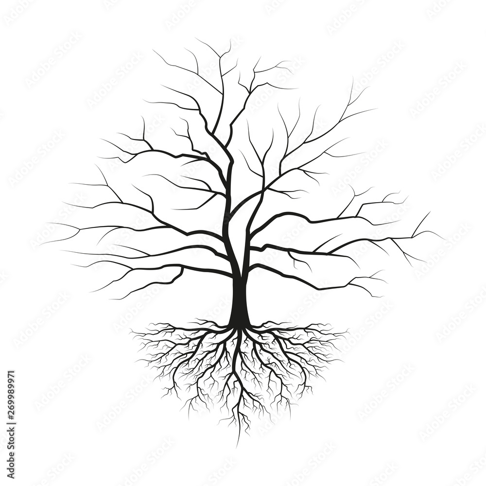Tree with roots and without leaves. Black silhouette of tree. Vector ...