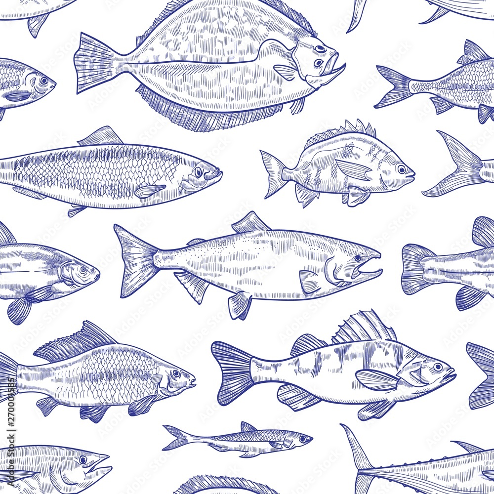 Seamless pattern with fish hand drawn with contour lines on white ...