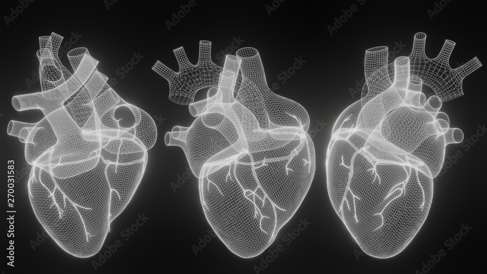 3D wireframe hearts render isolated white backgrounds, Abstract Heart icon form lines and ...