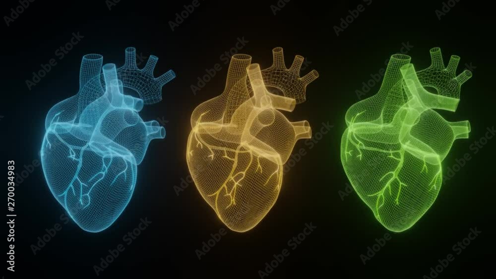 3D wireframe hearts render isolated white backgrounds, Abstract Heart ...