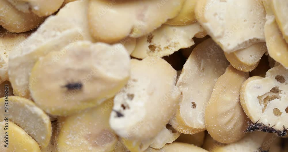 Grain weevil bugs in jar with dry beans, common domestic pest on stored ...