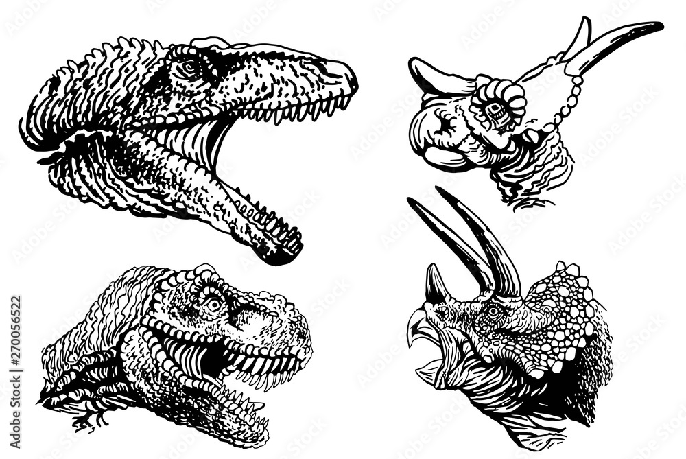 Graphical set of dinosaurs isolated on white ,vector illustration Stock ...