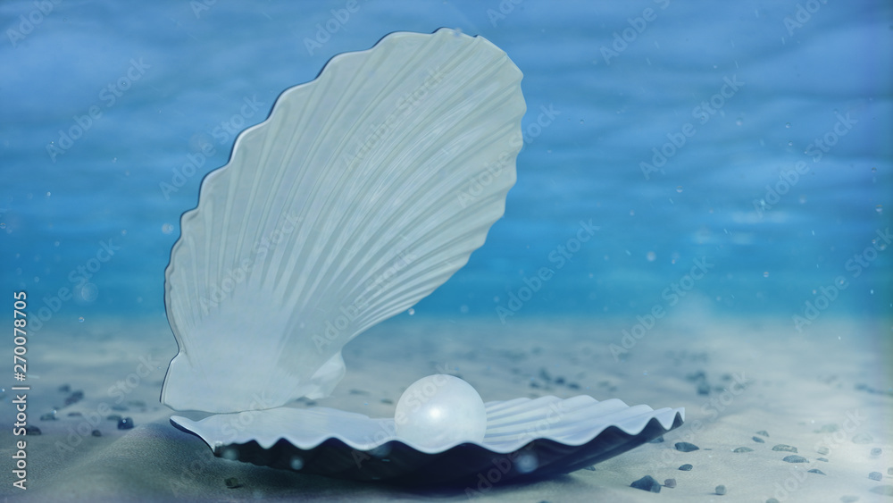 Sea Shells Underwater