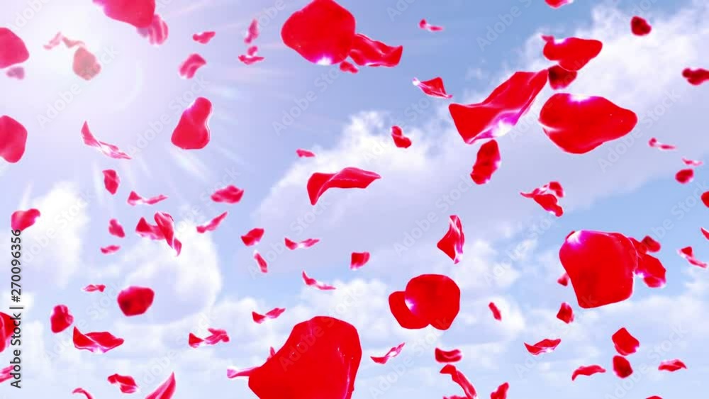 Rose Petals Falling from Sky (Loop) 4K. Seamlessly loopable realistic ...