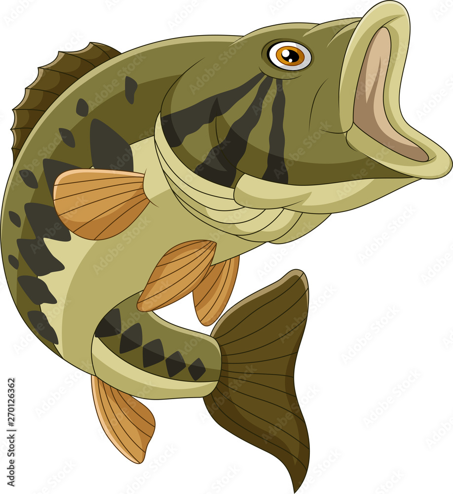 Cartoon bass fish isolated on white background Stock Vector | Adobe Stock