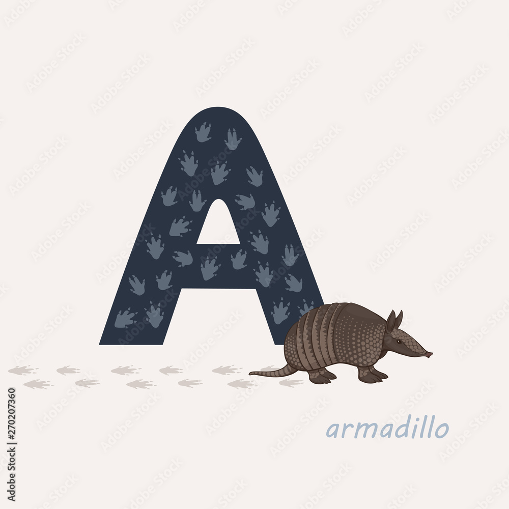 Vector illustration. Blue letter A with armadillo s footprints, a ...