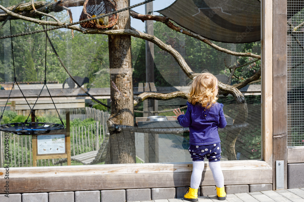 Cute adorable toddler girl watching funny monkeys on weedend or day ...