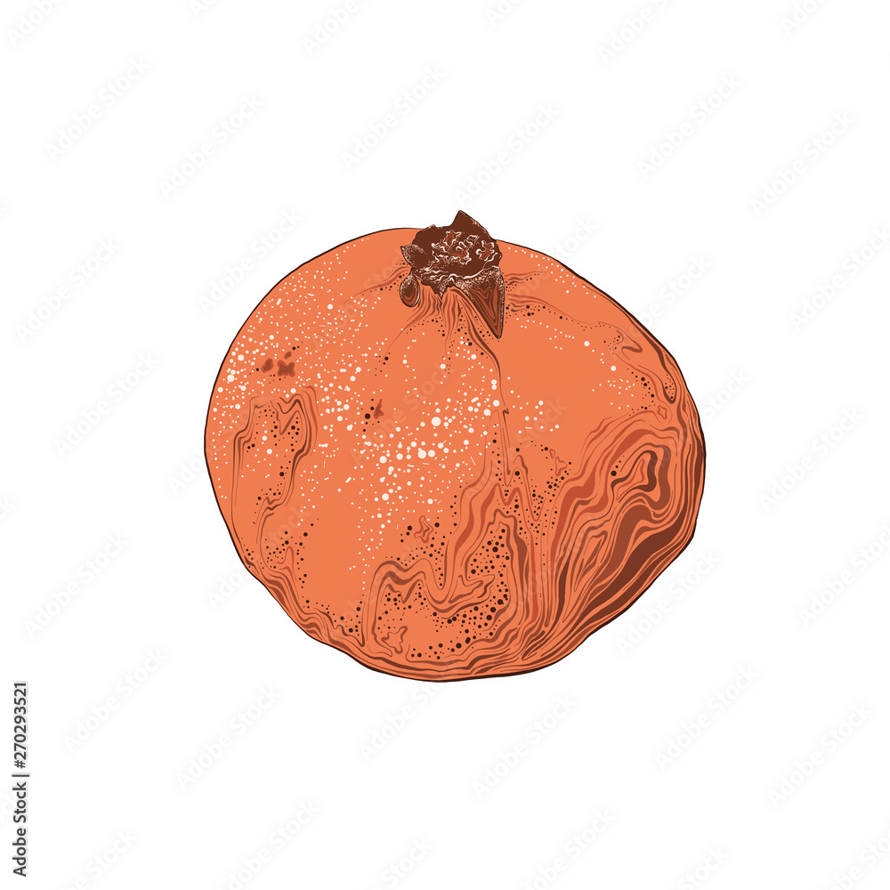 Hand drawn sketch of garnet in color. Isolated on white background ...