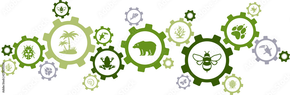 biodiversity icon concept – endangered species & wildlife icons, vector ...