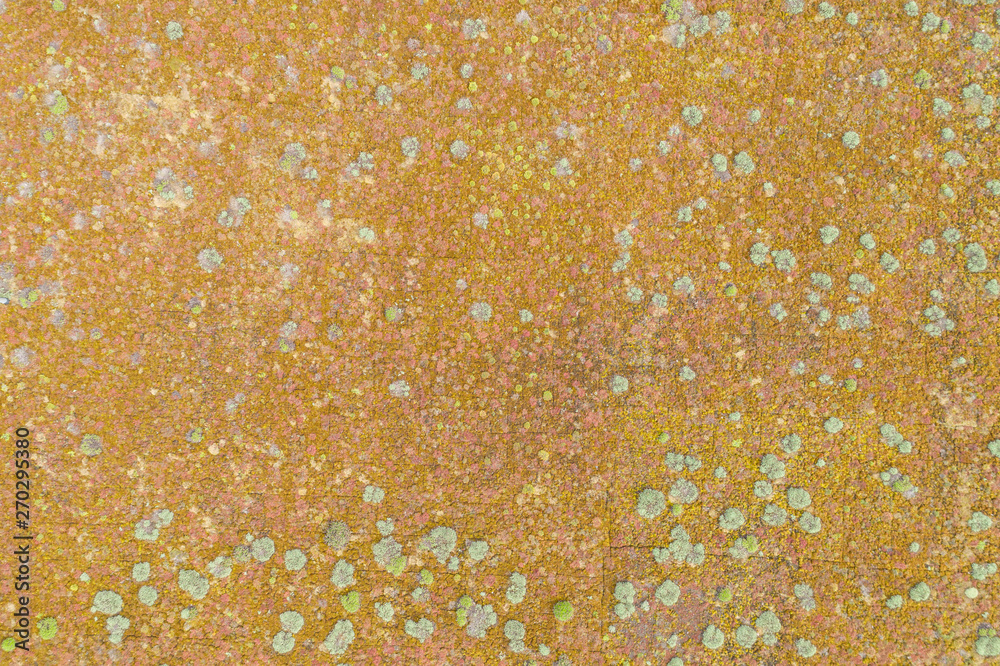 Orange moss on the roof texture. natural backgrounds top view yellow ...