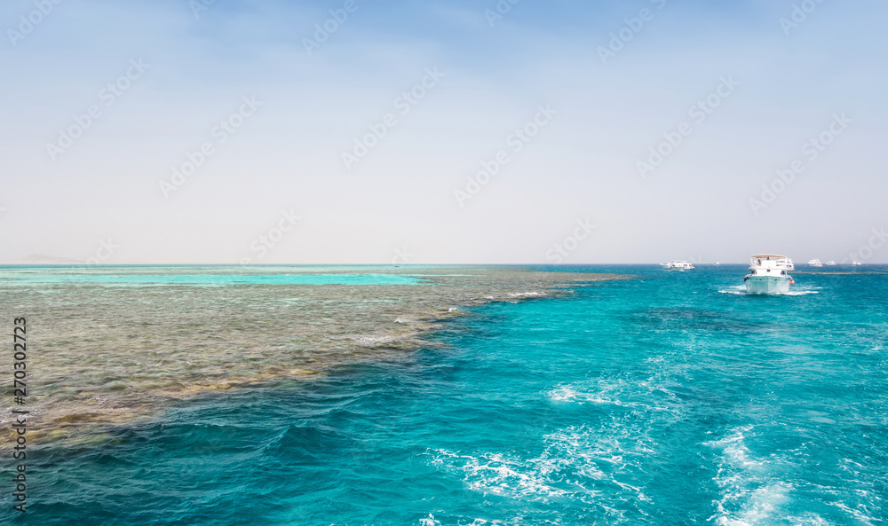 White Island Ras Mohamed National Park Snorkeling Boat Trip water ...