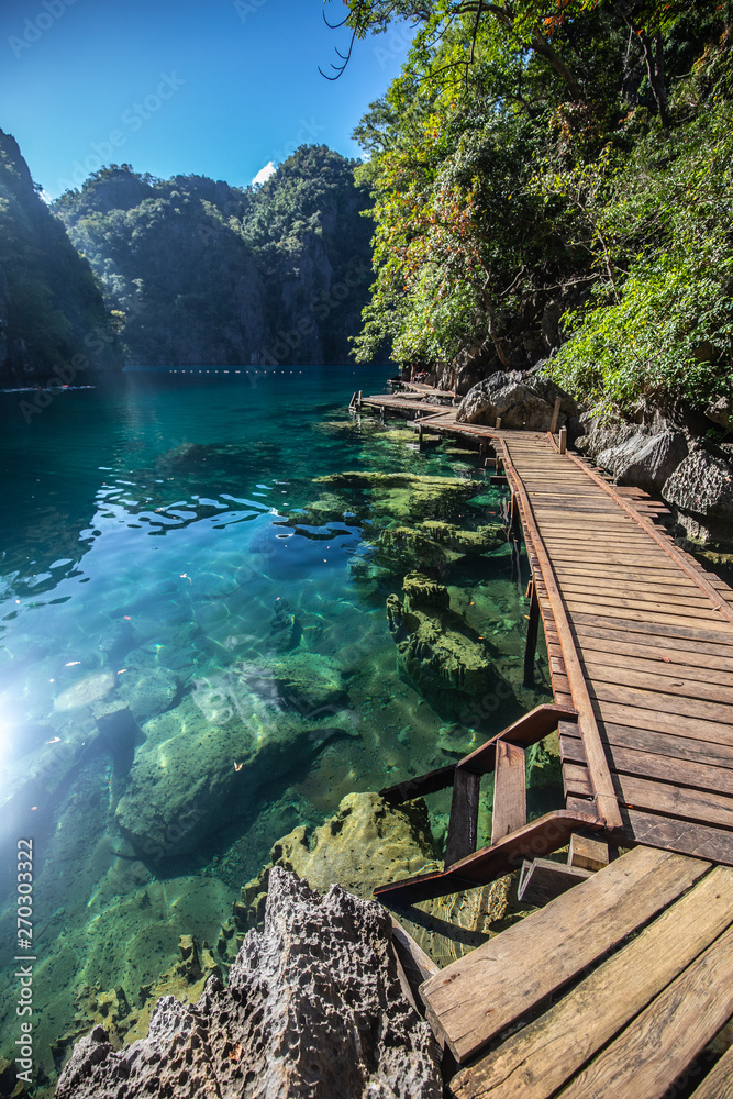 Lago verde esmeralda cercado por muita natureza, árvores, pedra ...