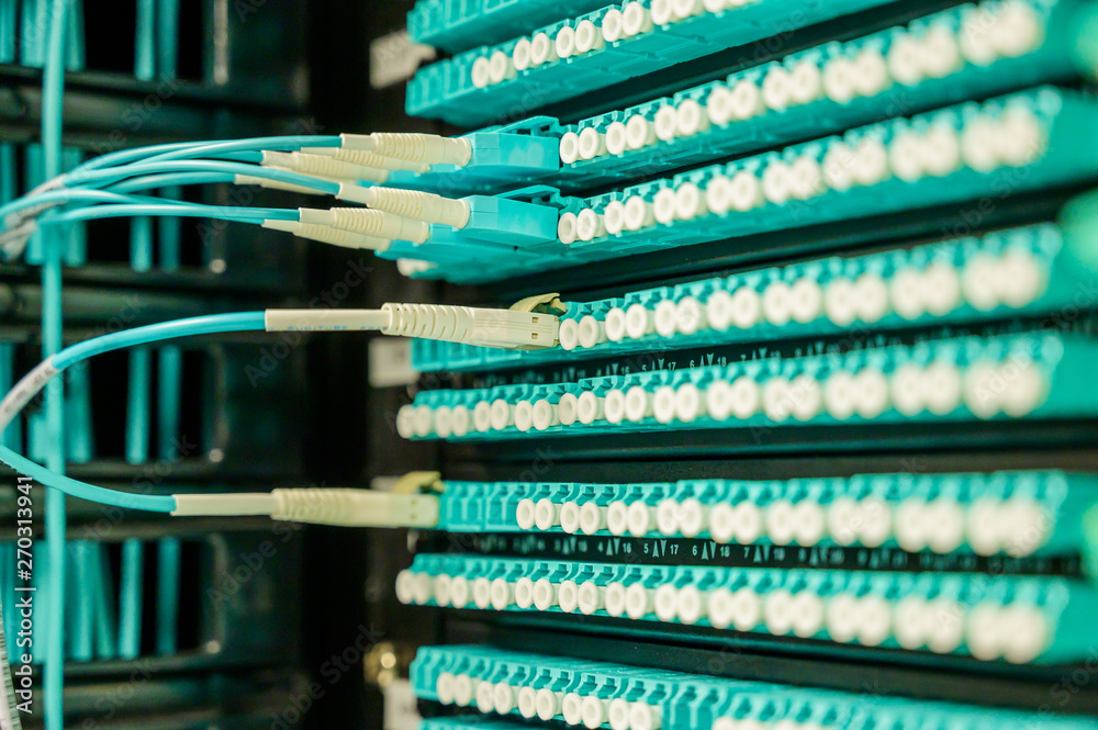 fiber in patch panel Stock Photo | Adobe Stock