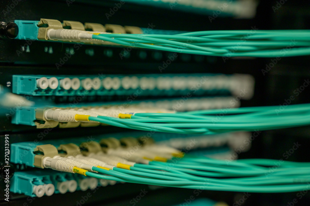 fiber in patch panel Stock Photo | Adobe Stock