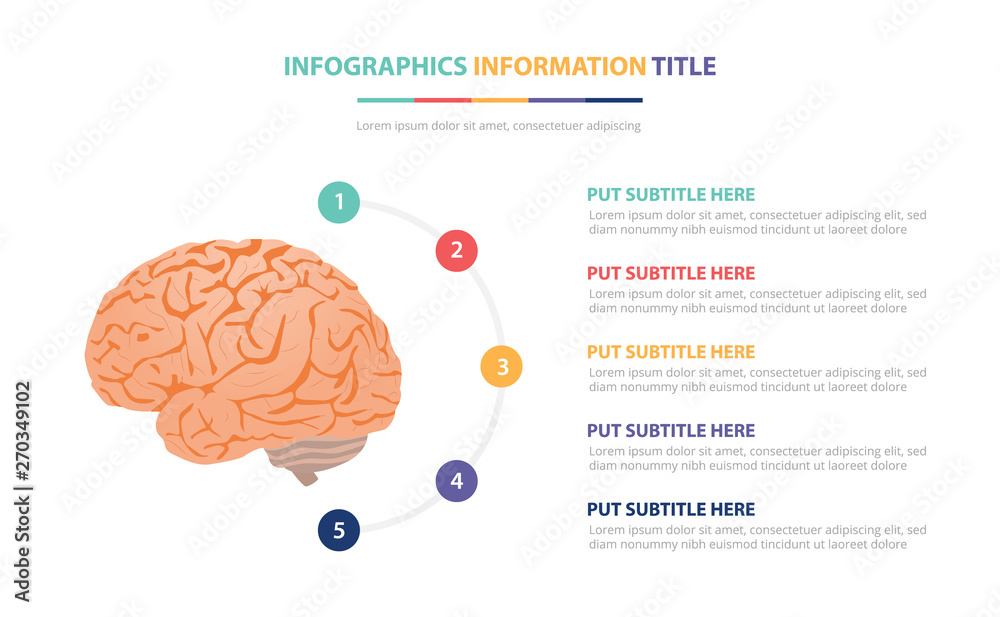 Infographic Brain