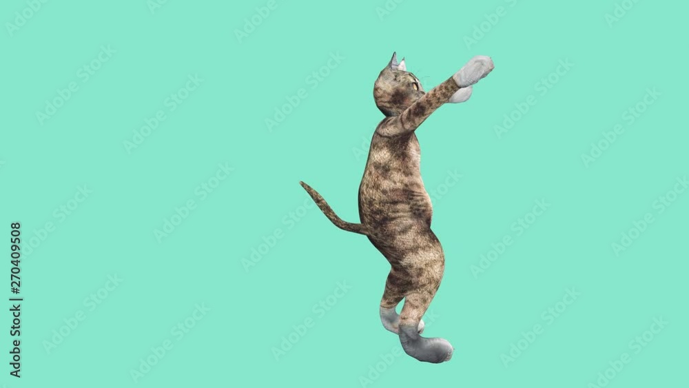 Comic tomcat waving paws and tail in an energetic summer mood. A cute ...