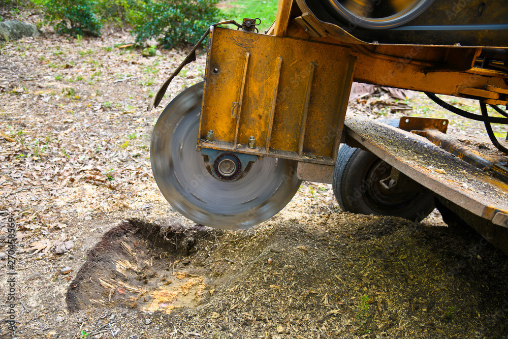 Stump Grinding Stock Photo | Adobe Stock