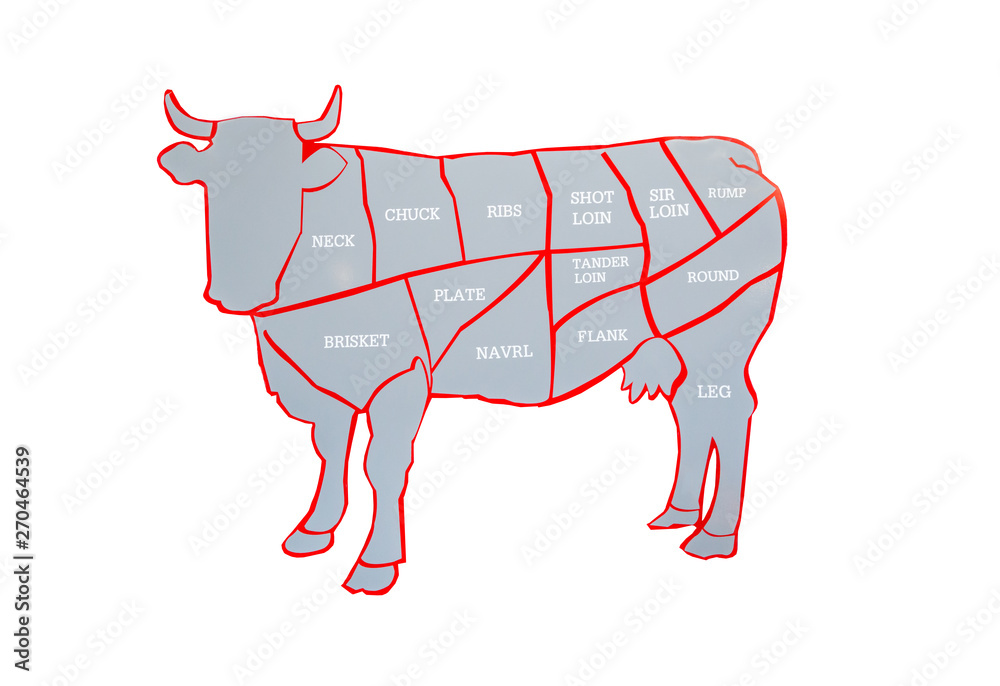 Cow and cut of beef or beef chart. Diagram of different parts of a cow ...