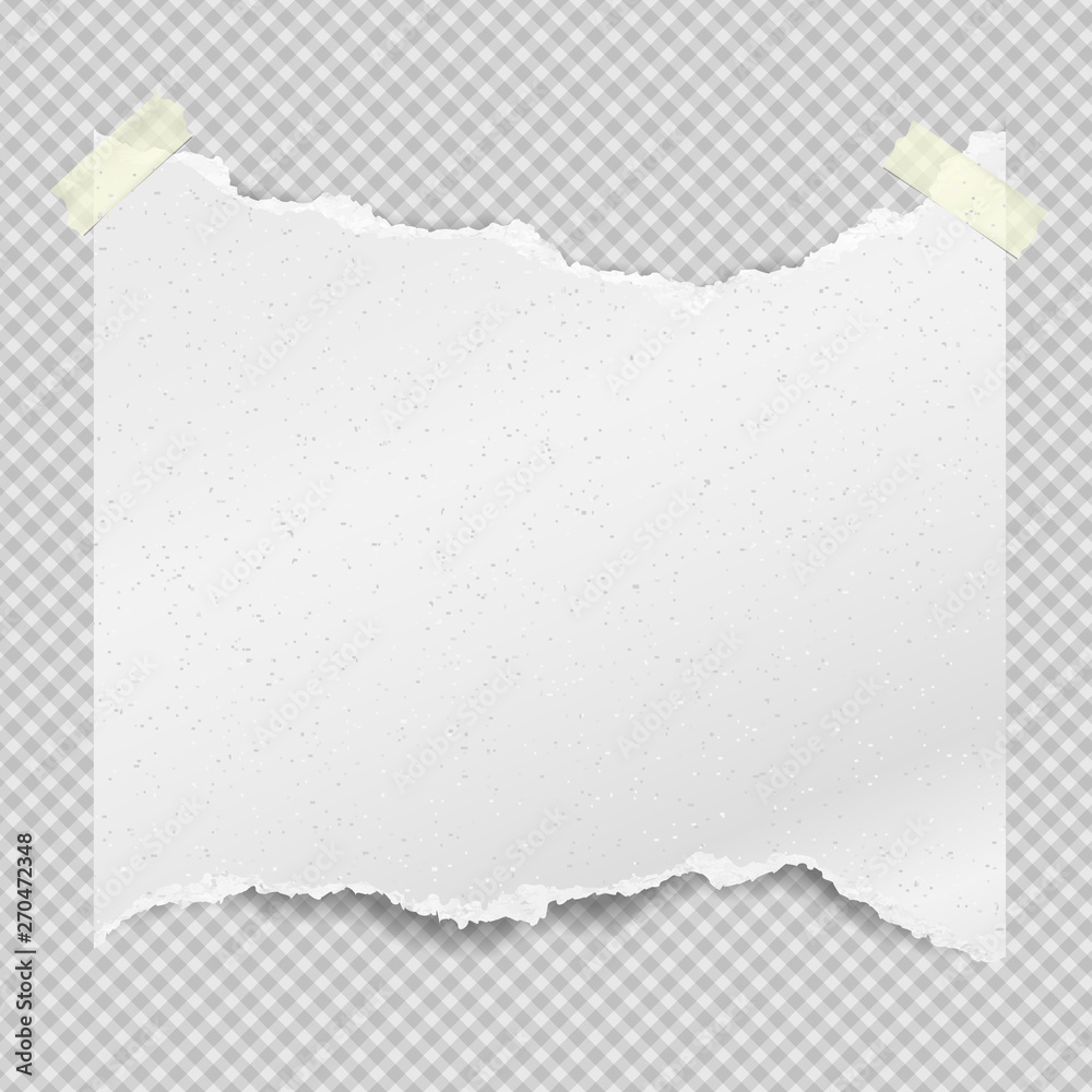 Ripped Piece Of Paper Vector