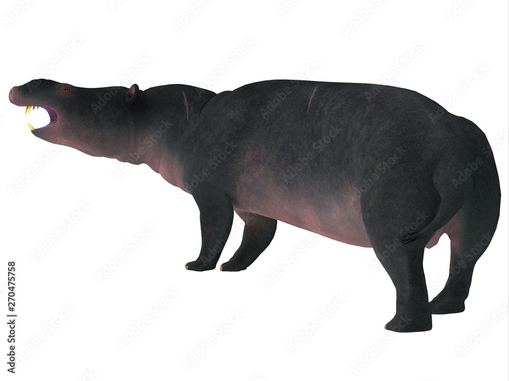 Moeritherium