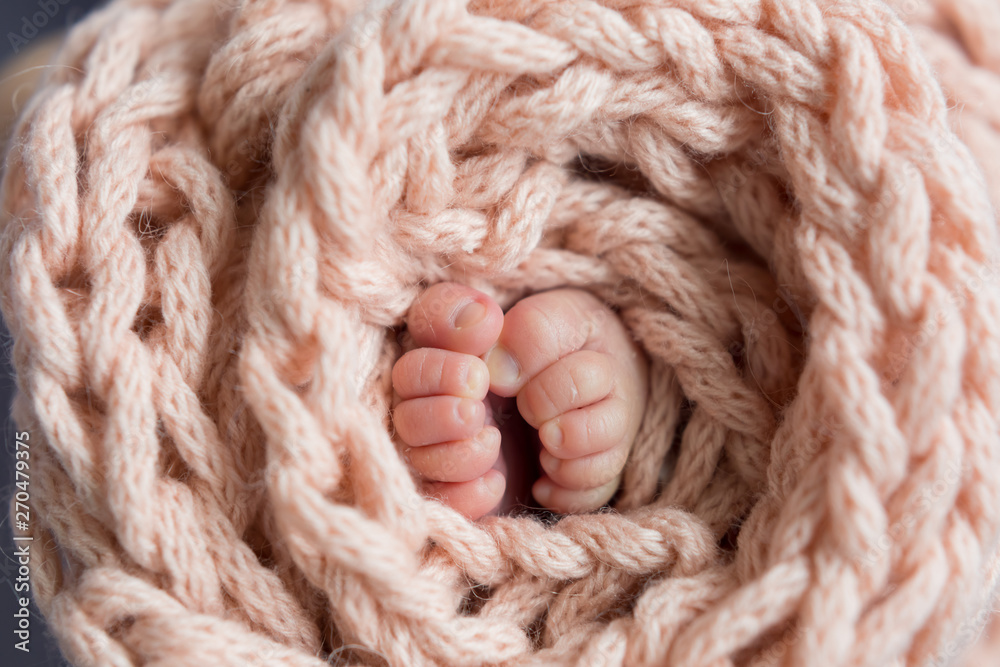 newborn child. baby legs. the legs of the newborn. legs on background ...