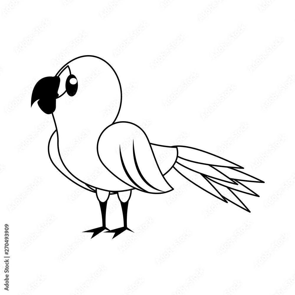 Cartoon Birds Black And White