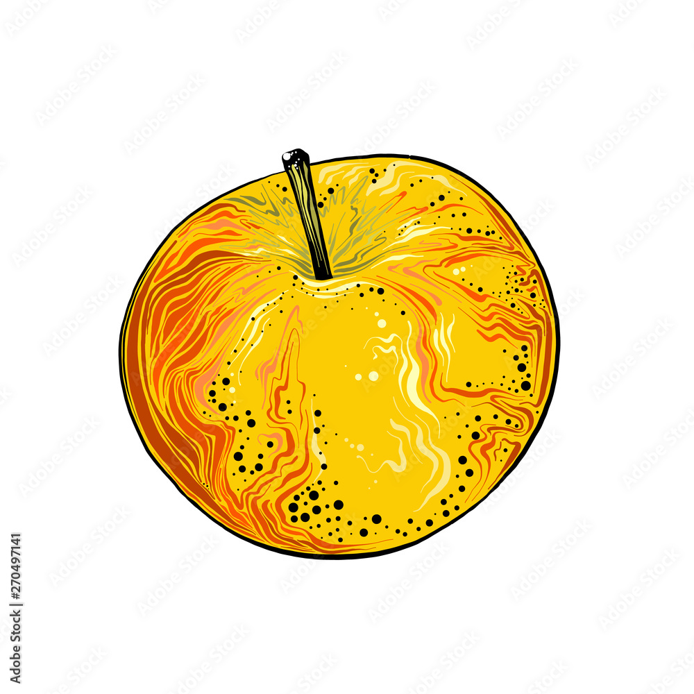 Hand drawn sketch of apple in color. Isolated on white background ...