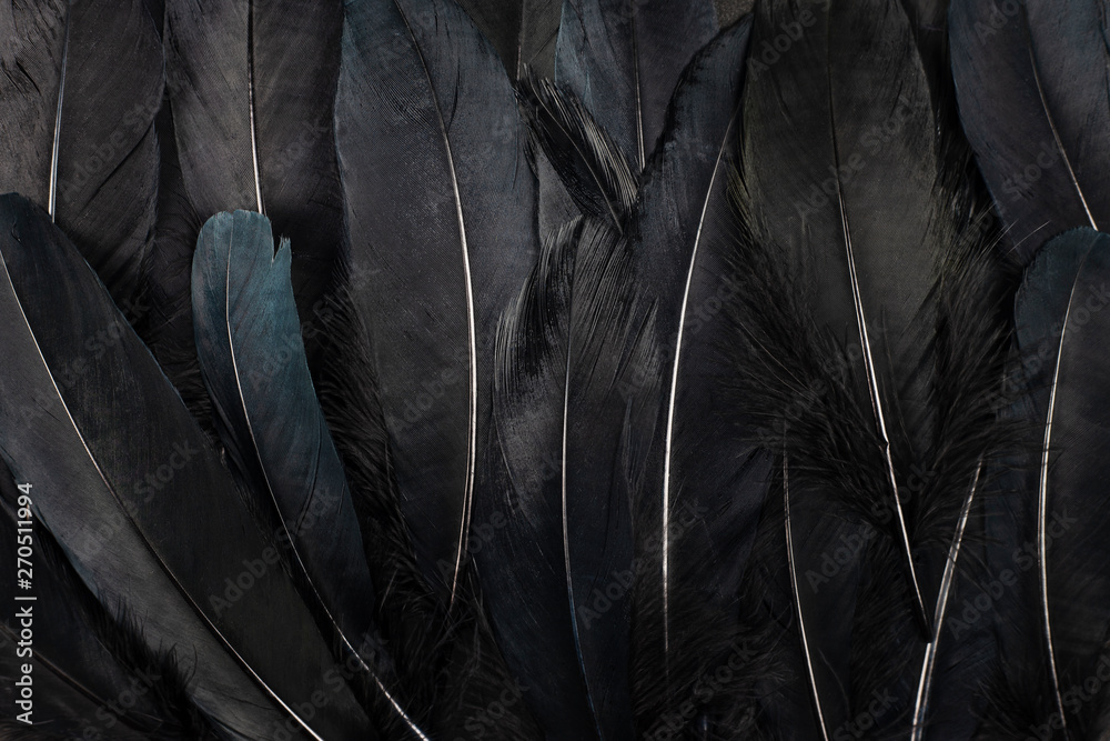 black feather texture background. Stock Photo | Adobe Stock