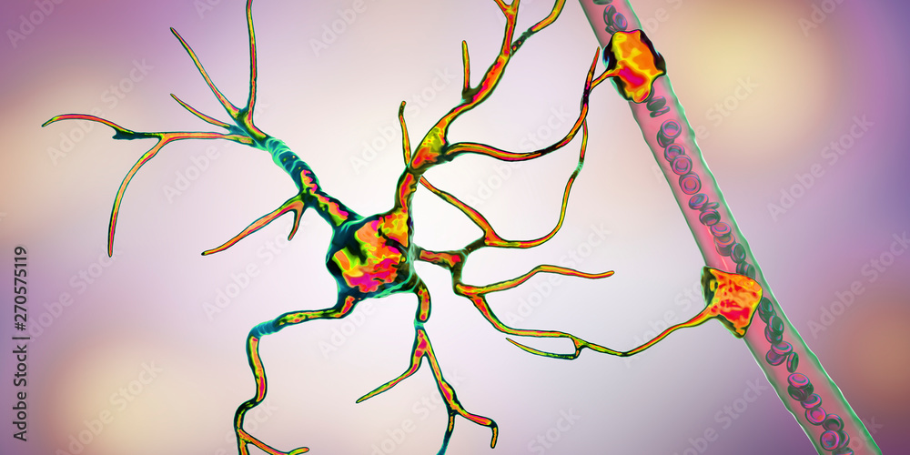 Astrocyte and blood vessel, 3D illustration. Astrocytes, brain glial ...