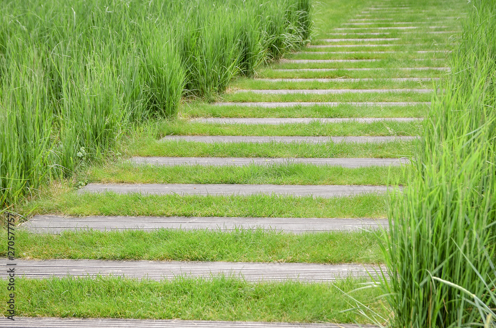 Grass path in garden, made of wood and grass. Eco friendly concept ...