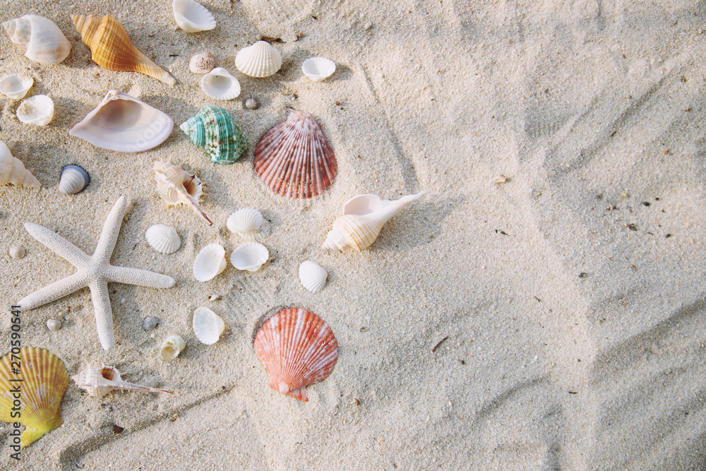 Summer time concept with sea shells and starfish on the beach sand ...