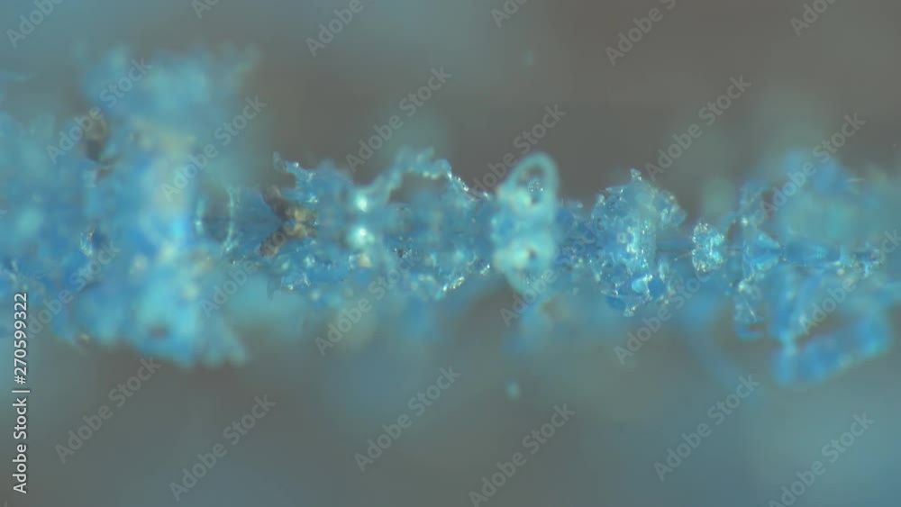 Small particles of plastic stick together in water in fragile fields ...