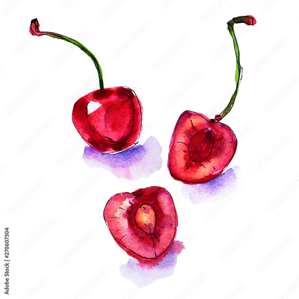 Cherries Sketch