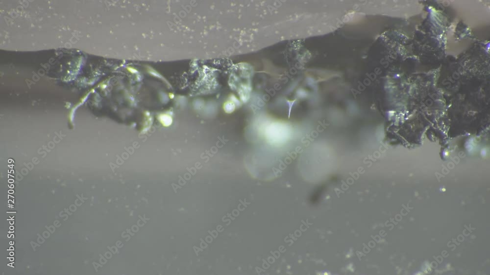 Small particles of plastic stick together in water in fragile fields ...