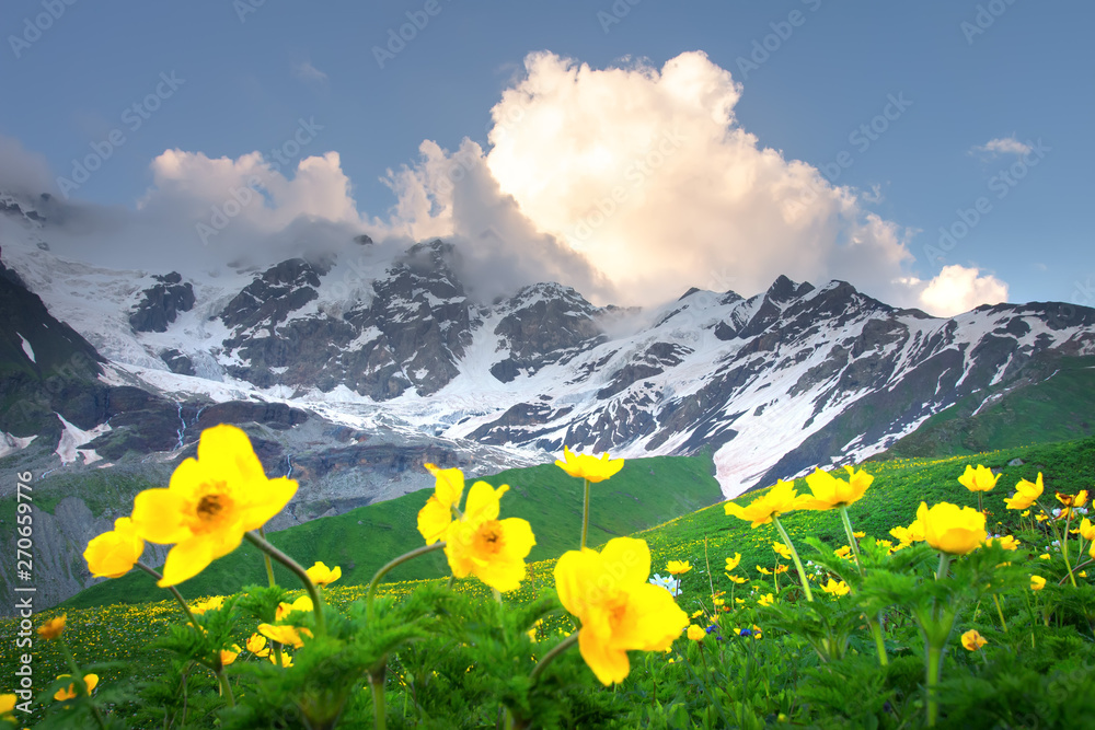 Alpine Mountains Summer