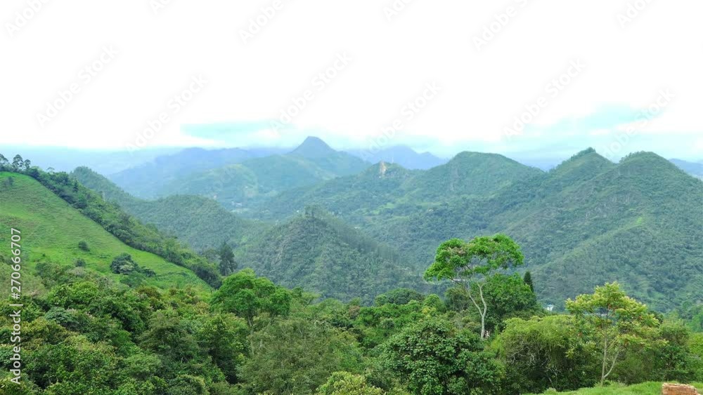 Rain forest with high trees over green mountains scape. Tropical Jungle ...