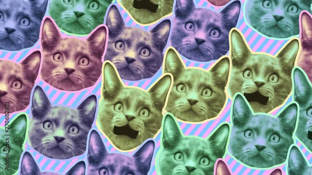 Seamless young animation of cartoon style cats with duotono colors ...