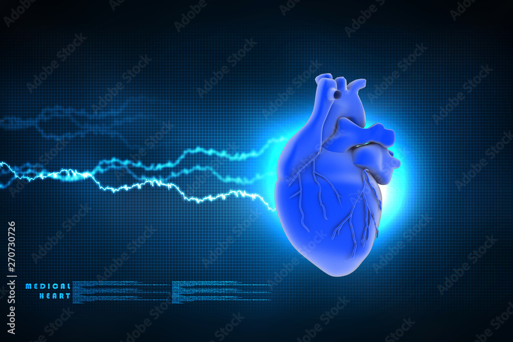 3d illustration Anatomy of Human Heart Stock Photo | Adobe Stock