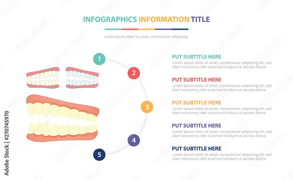 human teeth tooth structure infographic template concept with five ...