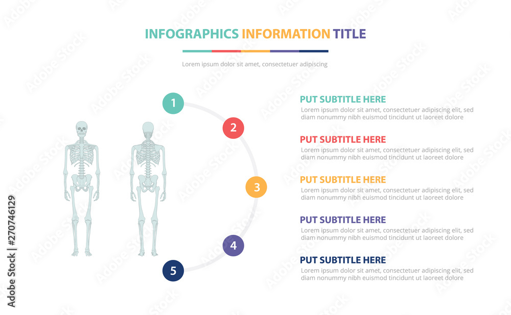 human skeleton bone infographic template concept with five points list ...
