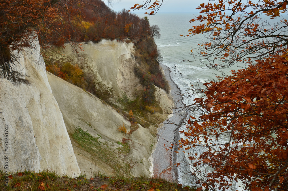 Rugia Stock Photo | Adobe Stock